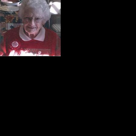 Marion D. Docteur | Obituaries | nny360.com