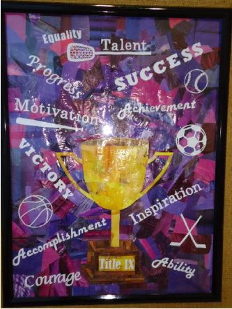 AAUW announces Title IX poster contest winners | News | nny360.com