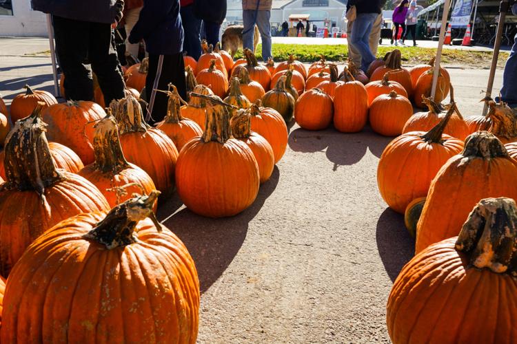 Pumpkins, food donations soar at Punkin Chunkin (VIDEO) | Arts and ...
