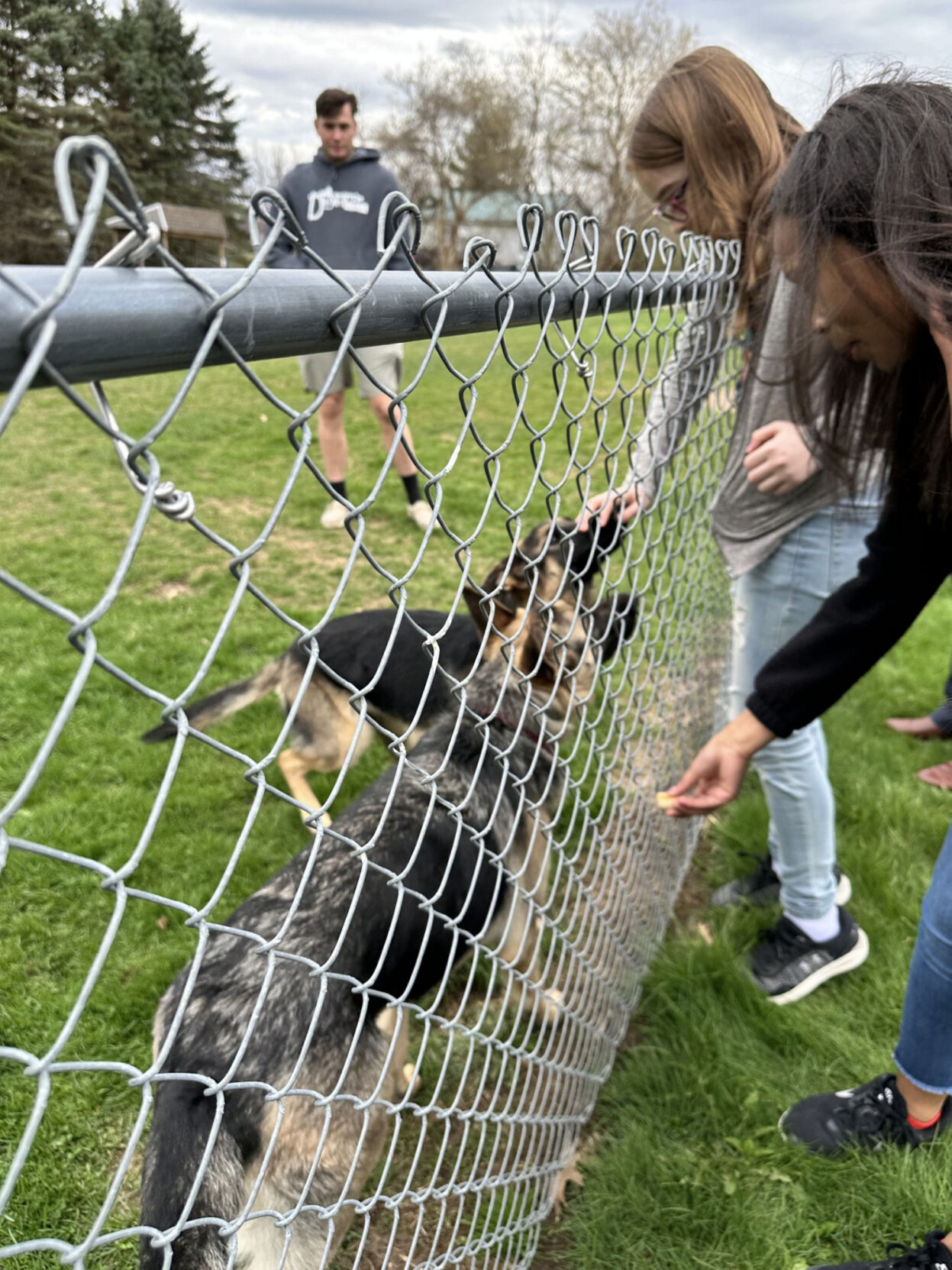 Schools donating to Jefferson County SPCA | Kidscontent | nny360.com