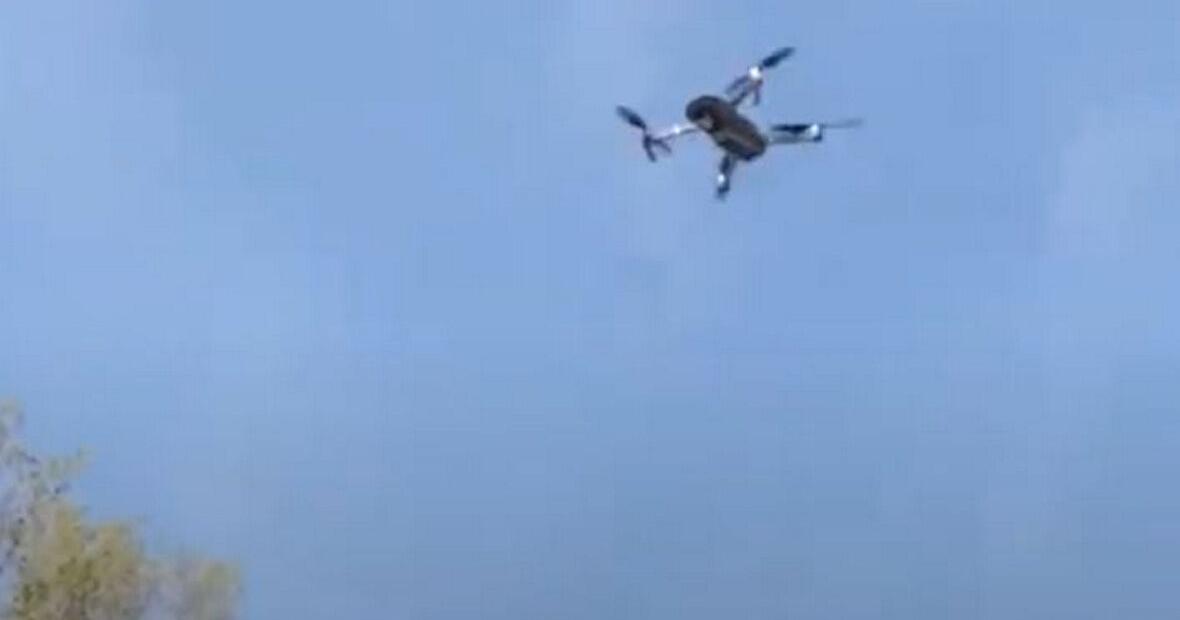 The Drone | Columns | nny360.com