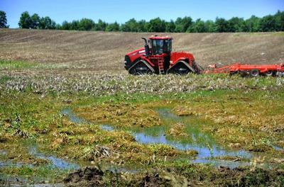 FARMERS FACE SOGGY FIELDS | News | nny360.com