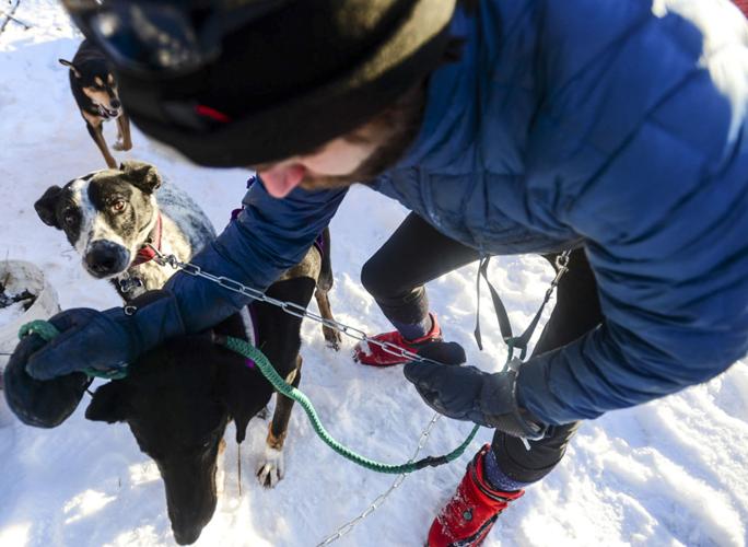 Leader of the Pack | News | nny360.com