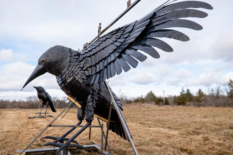 Crows, created by acclaimed late artist, land in Hammond and await ...
