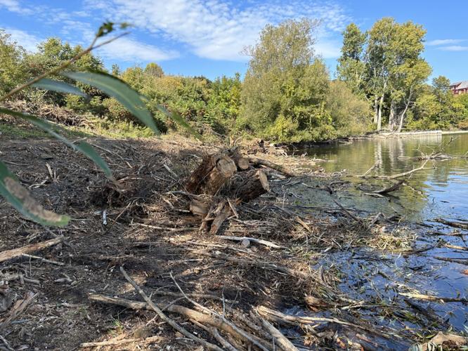 Carleton Island residents continue their opposition to Carleton Villa ...