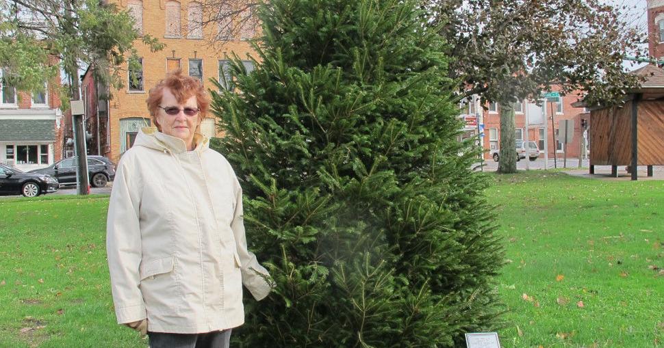 Newly planted Pulaski Memory Tree this season | News | nny360.com
