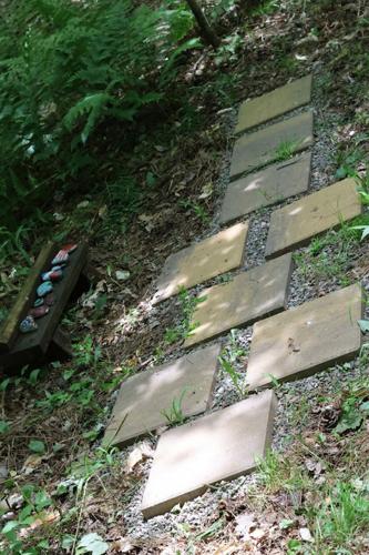 New Sensory Trails open in Natural Bridge, Redwood | Kidscontent ...