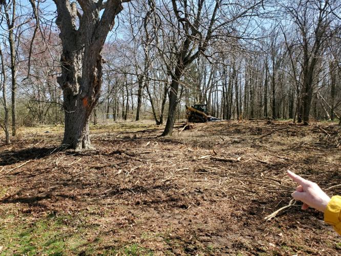 Carleton Island residents continue their opposition to Carleton Villa ...