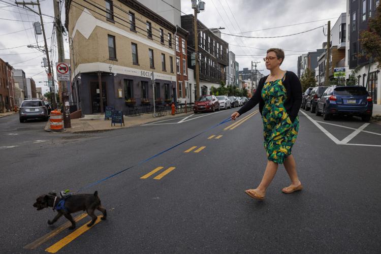 Dogs are everywhere. Not everyone is happy about it. | Pets | nny360.com