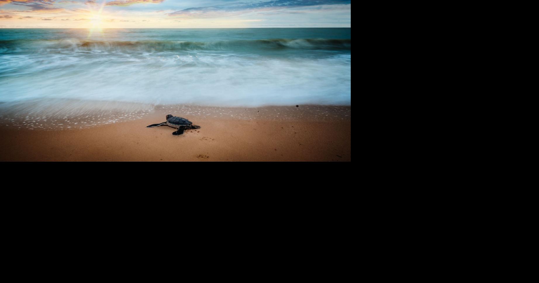 Lori Borgman: Getting a grip on the future | Family and Relations ...