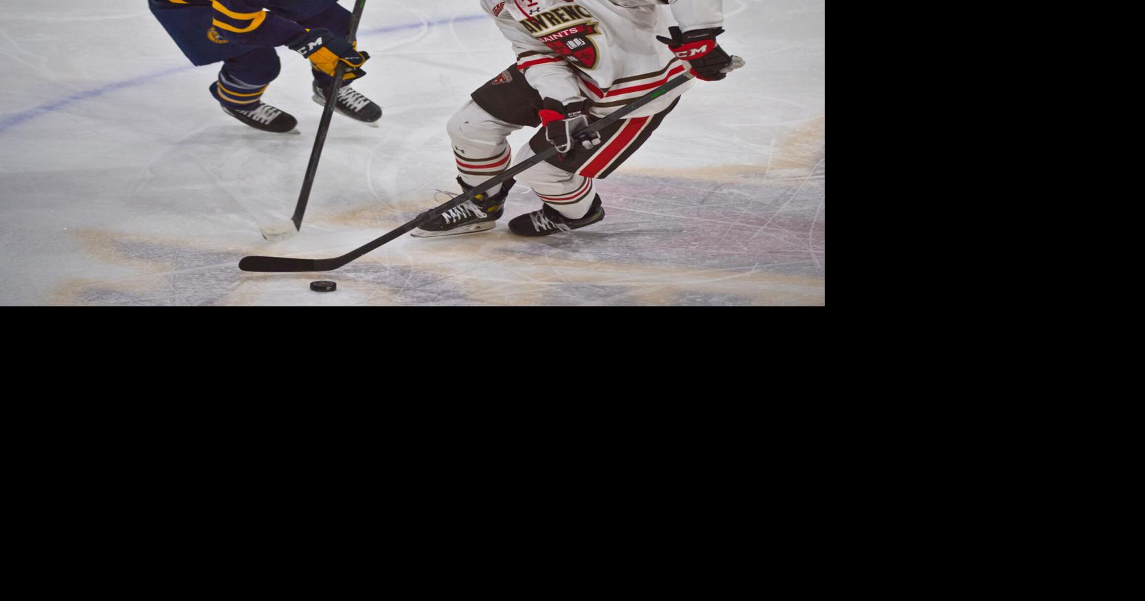 College hockey notes: Jankowski’s love for hockey speaks for itself ...
