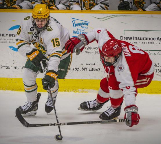 College roundup: RPI scores 40 seconds in, goes on to oust Clarkson men ...
