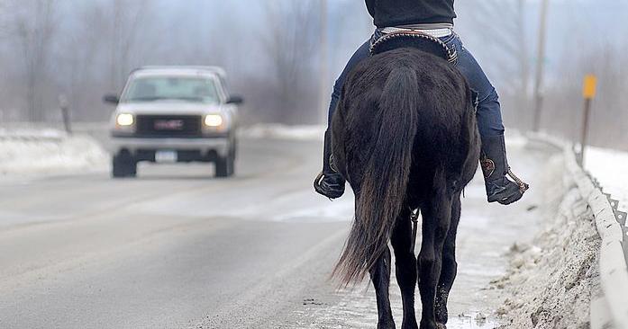 one horsepower | News | nny360.com
