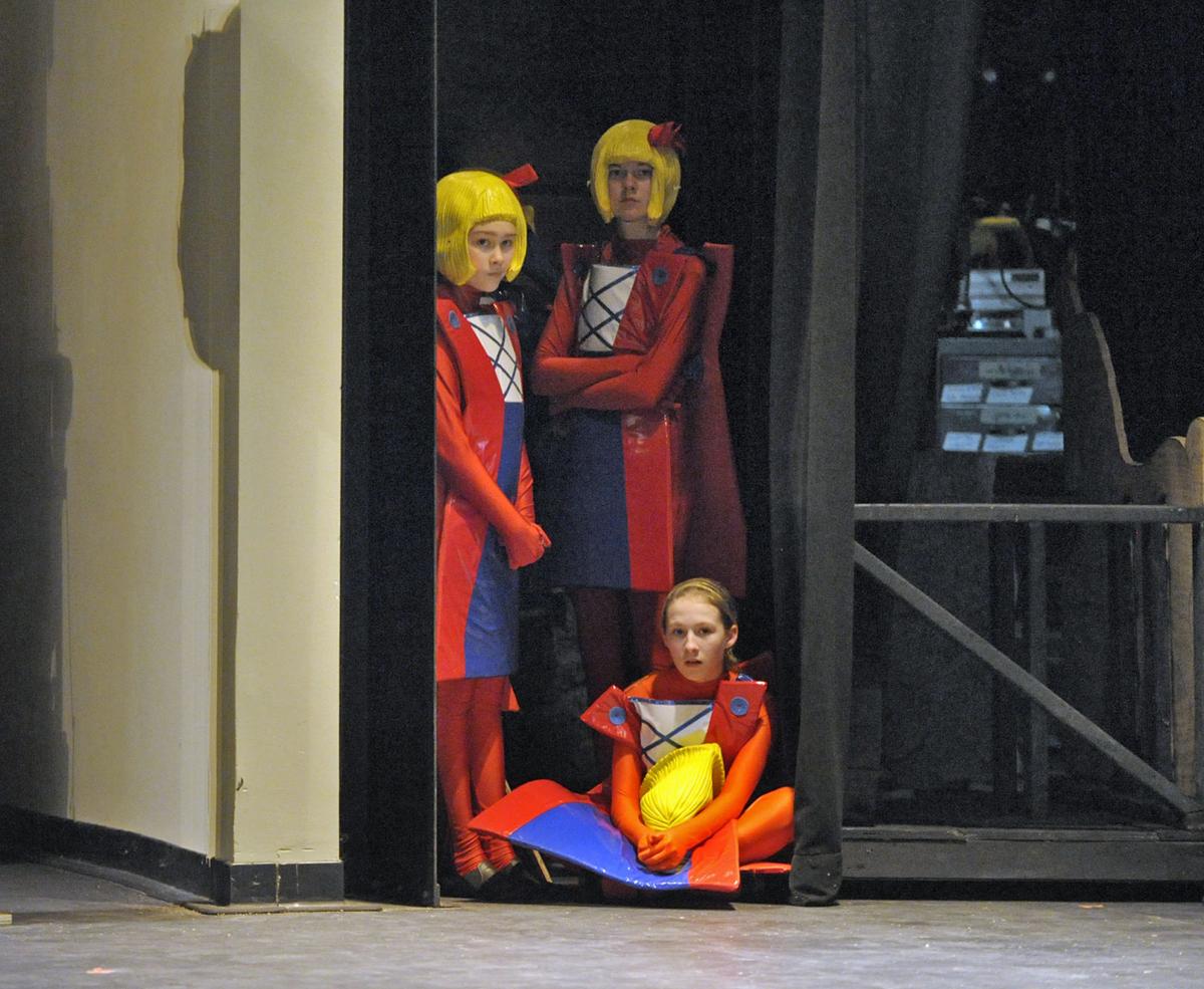 ‘Shrek’ on deck Musical fairy tale coming to Indian River for 3 shows ...