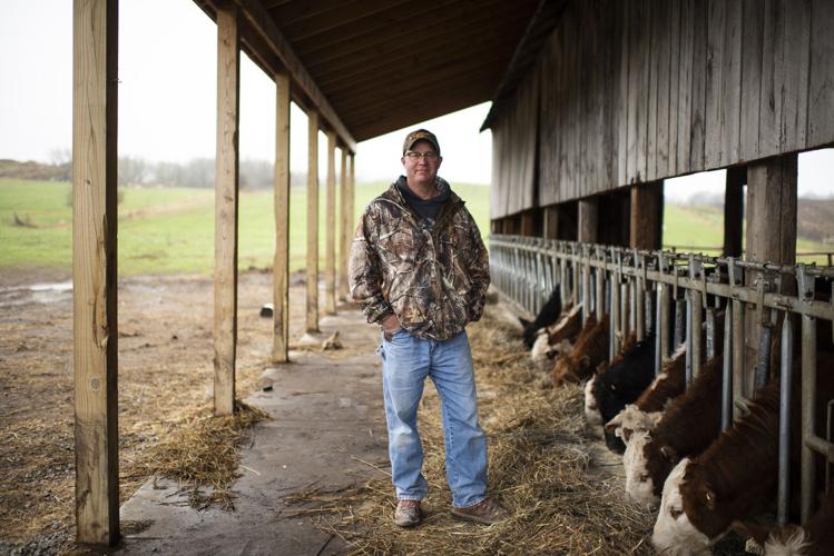 Rodman livestock farm focuses on direct sales to consumers | Jefferson ...