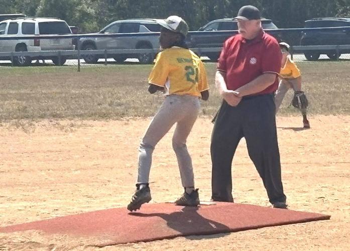 Terpstra, longtime north country umpire, calls himself ‘out’ | Sports ...