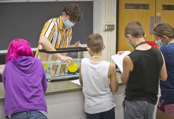 North country students explore STEM at annual Clarkson University ...