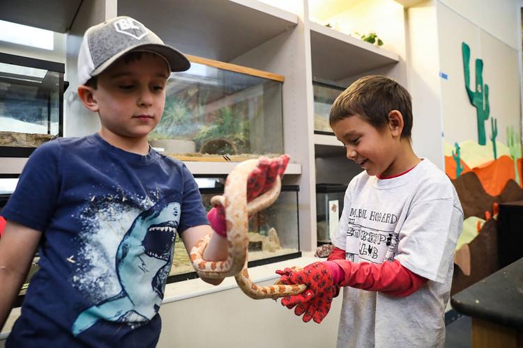 More than 150 goats live on elementary school campus | Kidscontent ...