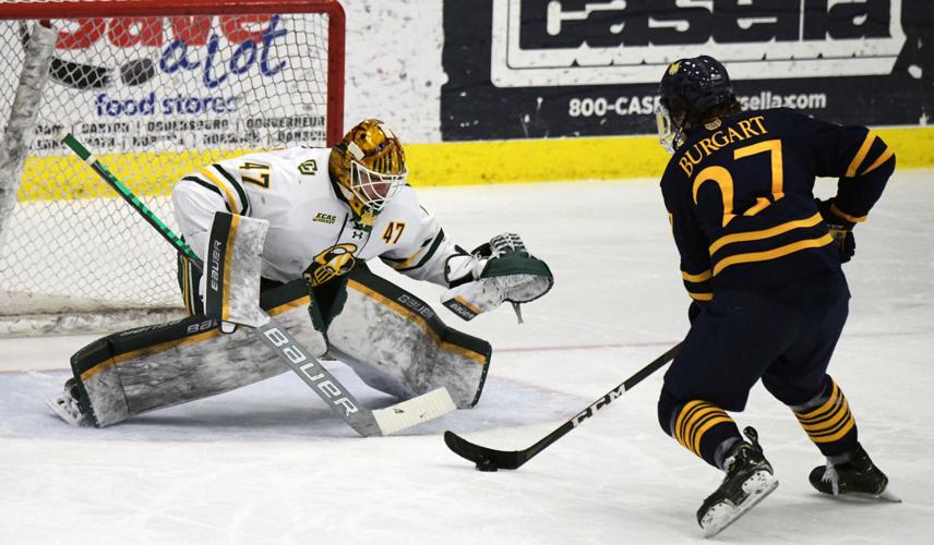 College hockey: Clarkson goaltender Haider named ECAC Hockey rookie of ...