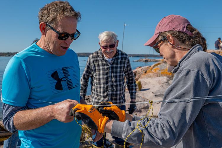 Volunteers help threatened bird species with parenting on the St ...