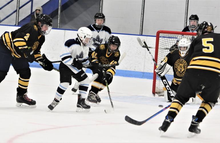 Recreational sports: Ogdensburg Squirts, Bantam B’s take second at ...