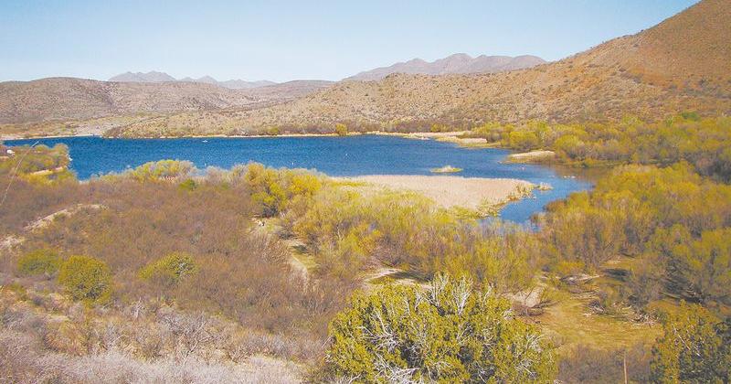 Matthew C. Brown | Arts and Life | nny360.com