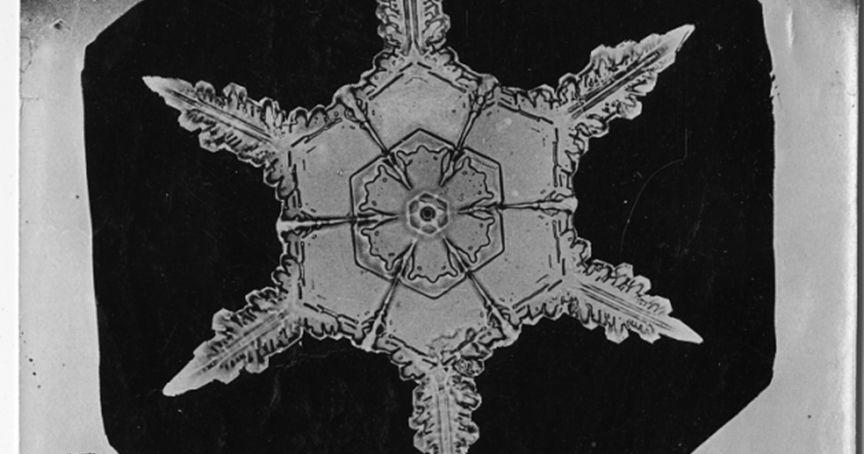 ‘The Snowflake Man’ Citizen scientist uncovered the secret lives of ...