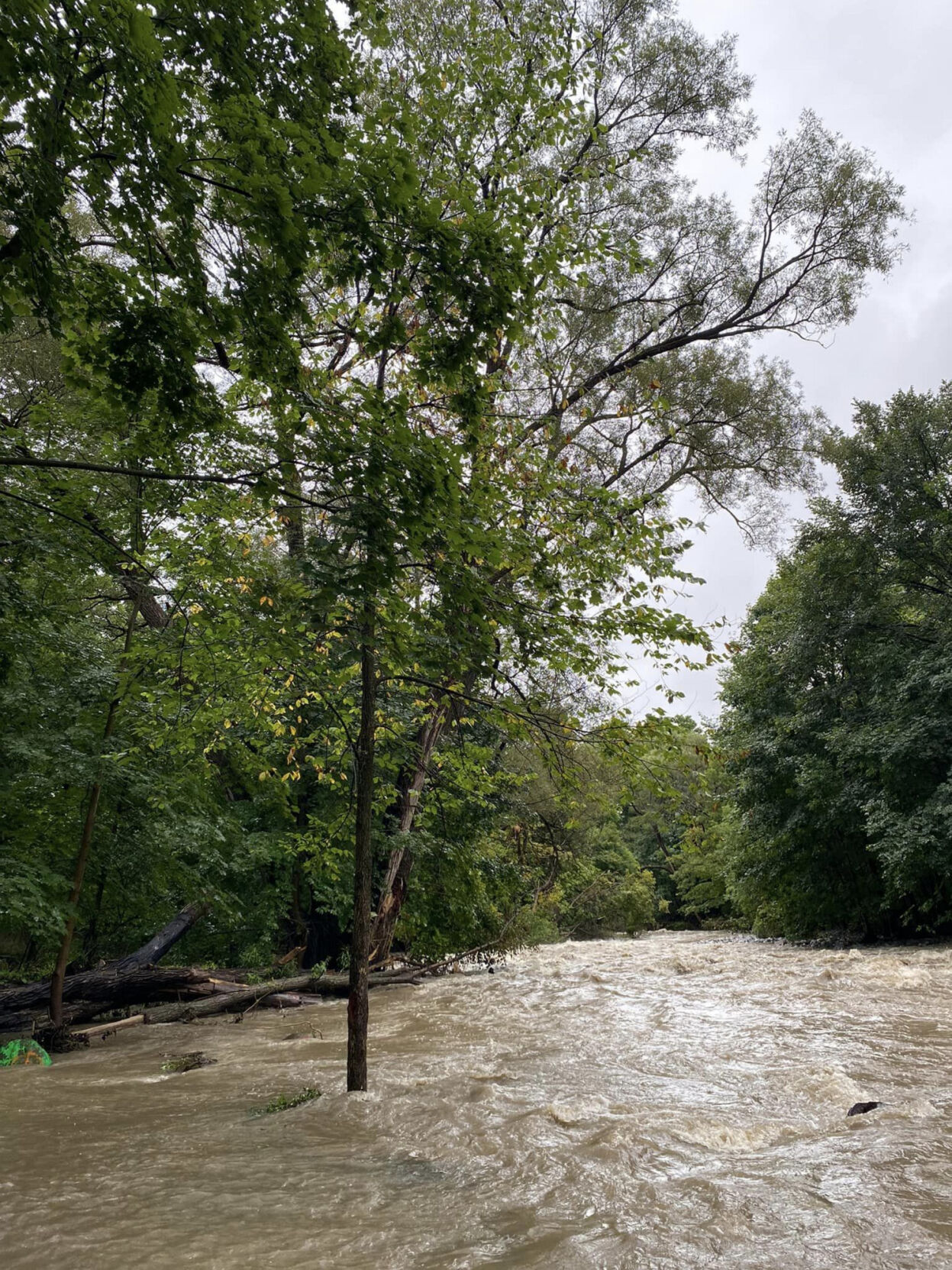 Flooding once again causes damage in Lowville | Lewis County News ...