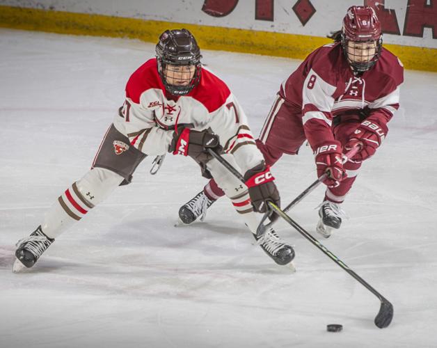 College roundup: Segedi lifts St. Lawrence women’s hockey to overtime ...