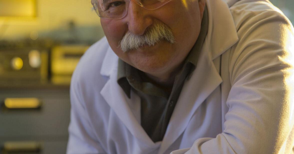 Clarkson professor named Fellow of the International Society of ...