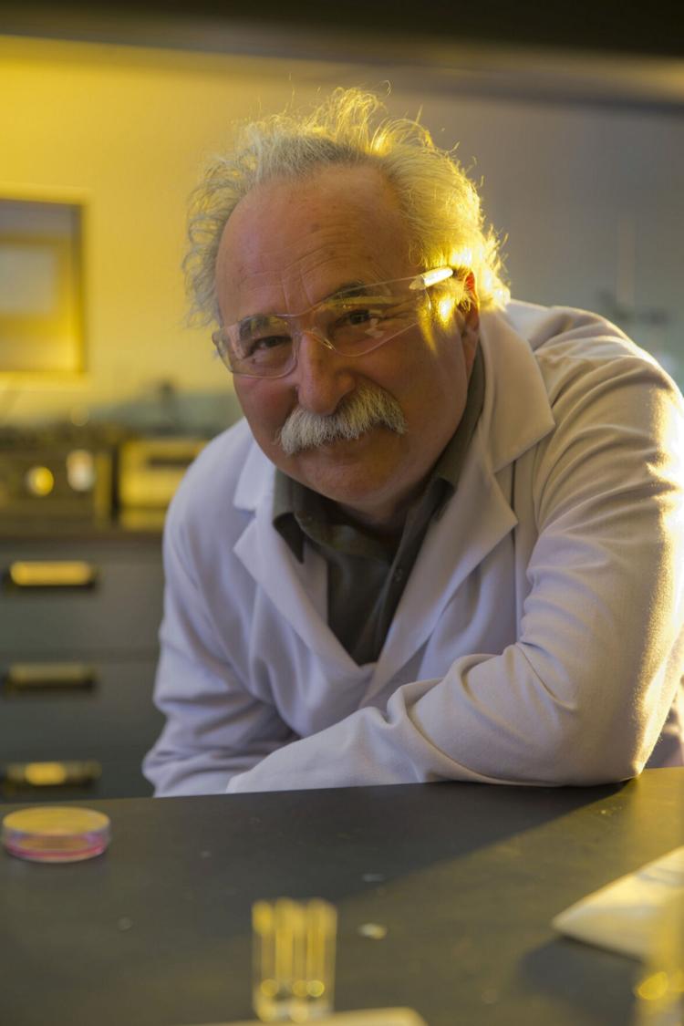 Clarkson professor named Fellow of the International Society of ...