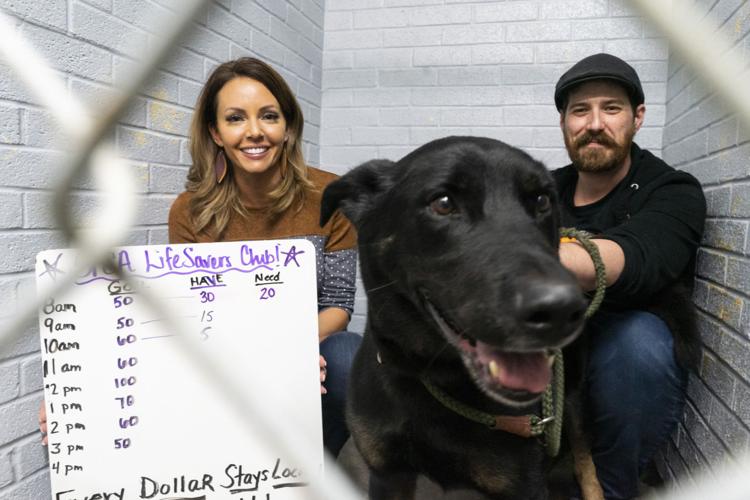 Caged for a cause: First SPCA Life-a-thon hits technical difficulties ...