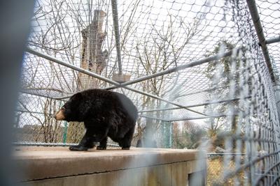 Zoo supporters pack Watertown council meeting; city to provide added ...