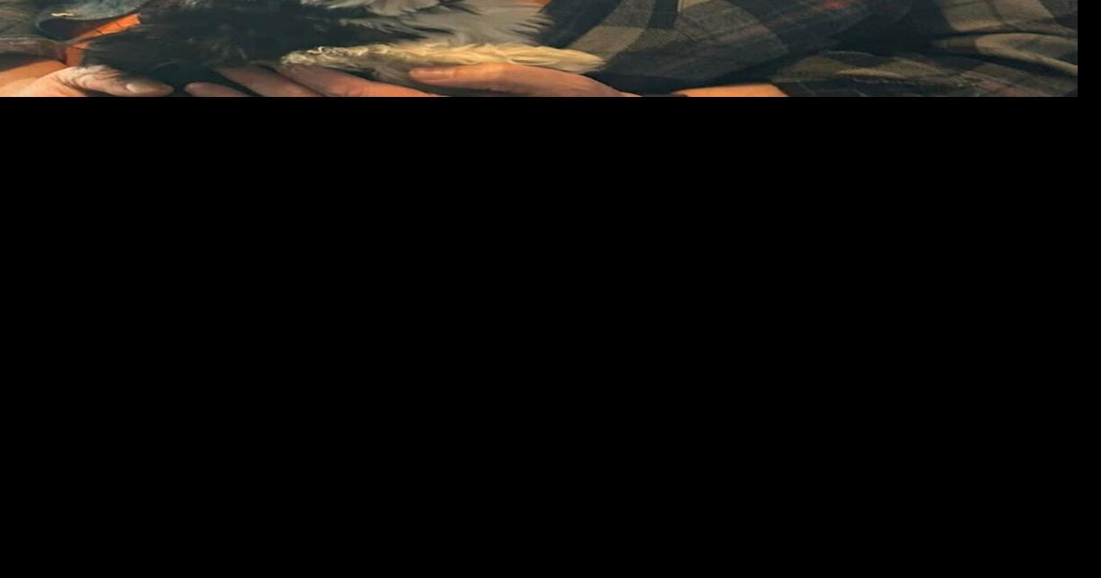 Lester A. Chase | Obituaries | nny360.com