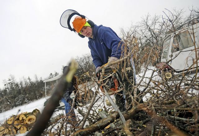 VOLUNTEERS CLEAN UP ZOO | News | nny360.com