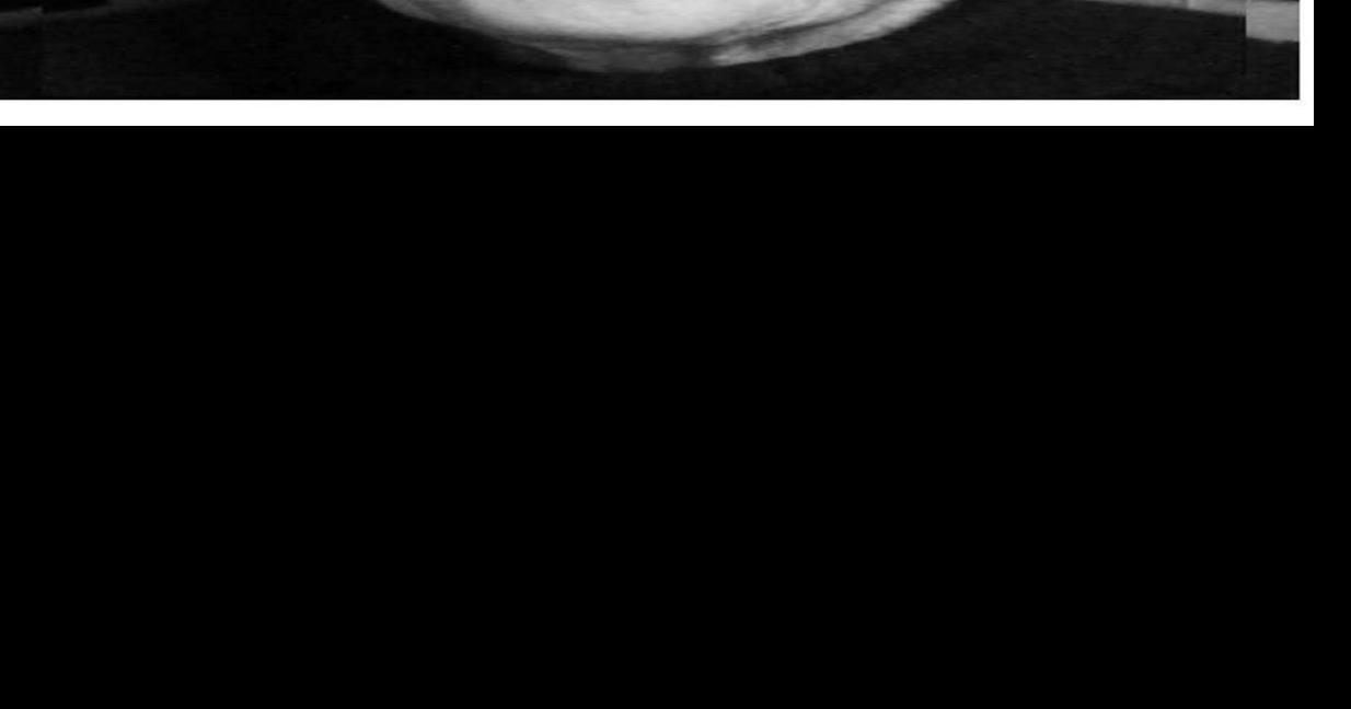 Miriam Sanford (“Sandy”) Krebs | Obituaries | nny360.com