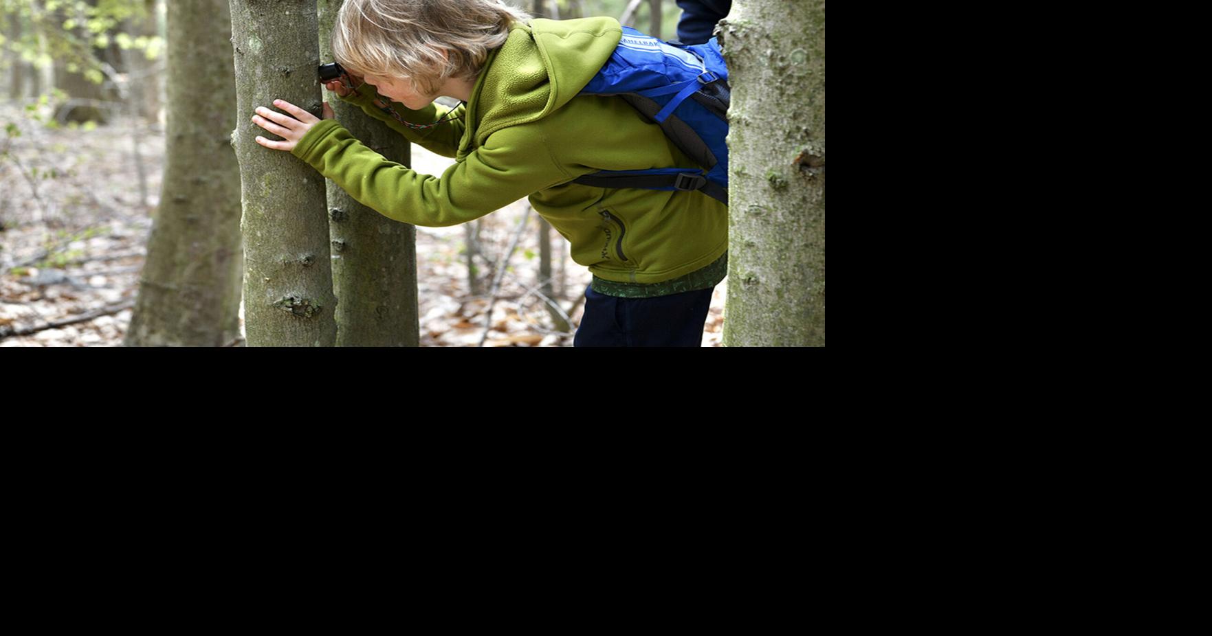 New collaboration lets kids photograph and interpret nature experiences ...