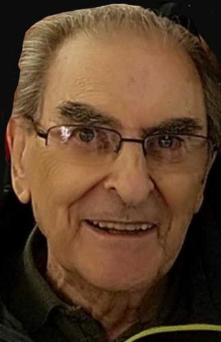 Louis L. Testani | Obituaries | nny360.com