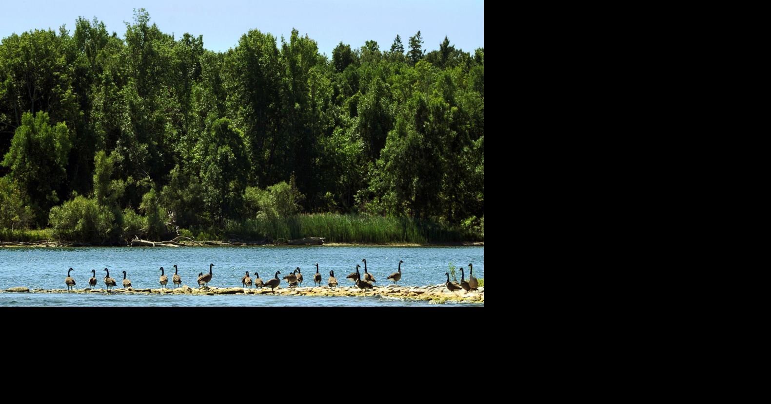 Former owners of most of Galloo Island reacquire property for $5.8 ...