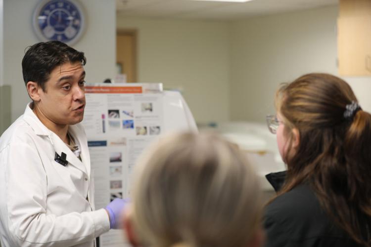 Students get hands-on experience through MASH Camp | Education | nny360.com