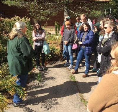 Homested g | Opinion | nny360.com