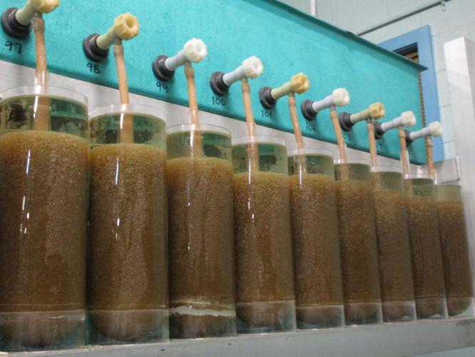 State fish hatchery helps nature to produce walleye | News | nny360.com