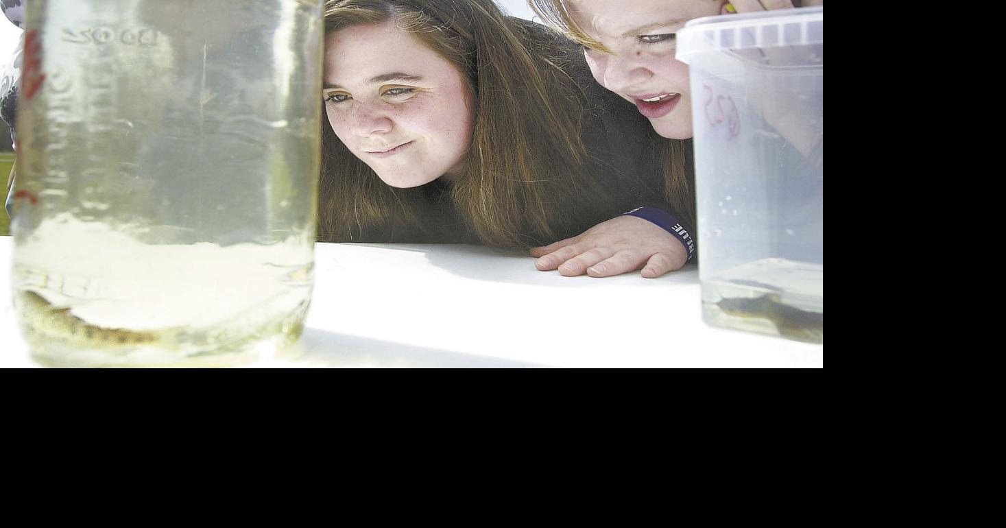 Maria Pavelock to run for state Senate in 47th | News | nny360.com