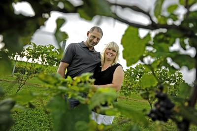 Busted Grapes Winery to host grand opening Saturday in town of Rutland ...