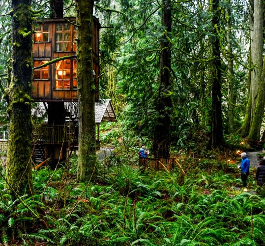 Treehouse hotel sits in an otherworldly forest near Seattle | Travel ...