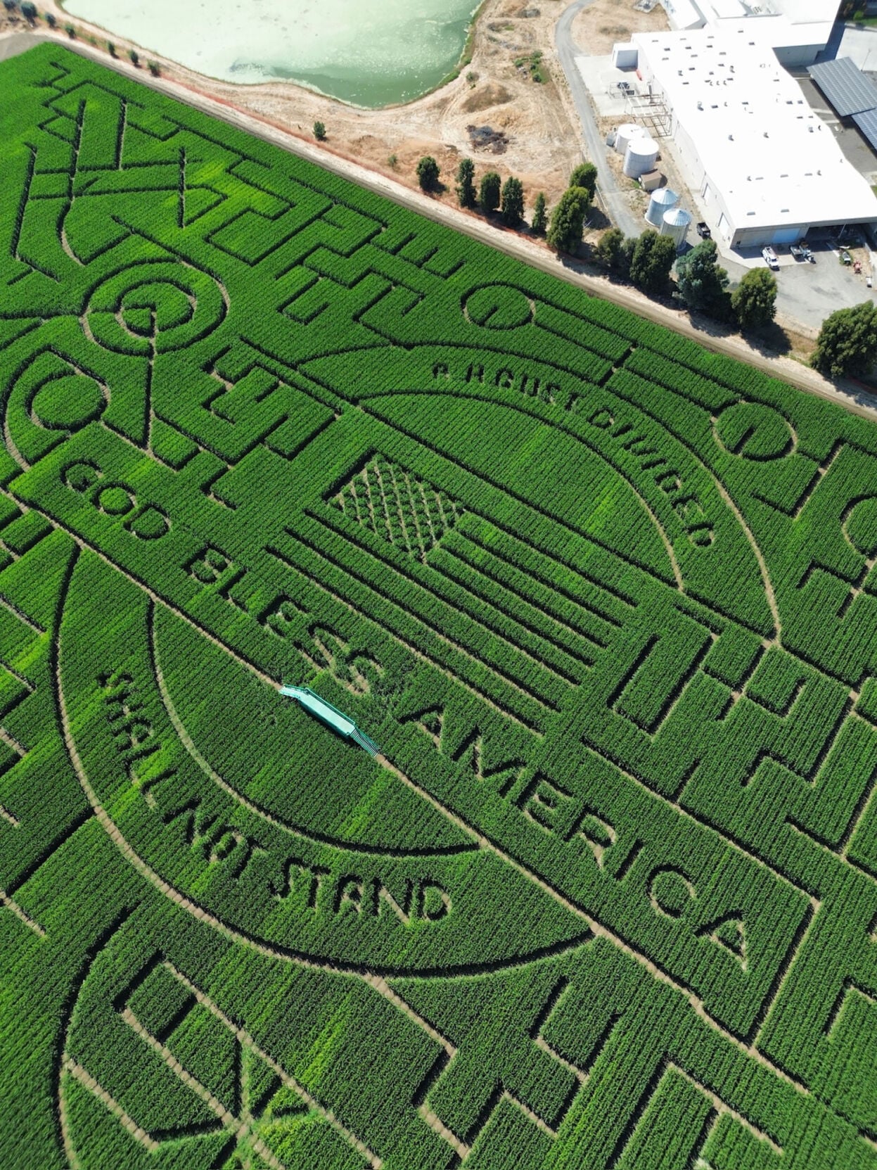 Navigating this world-record corn maze is a test of the human psyche ...
