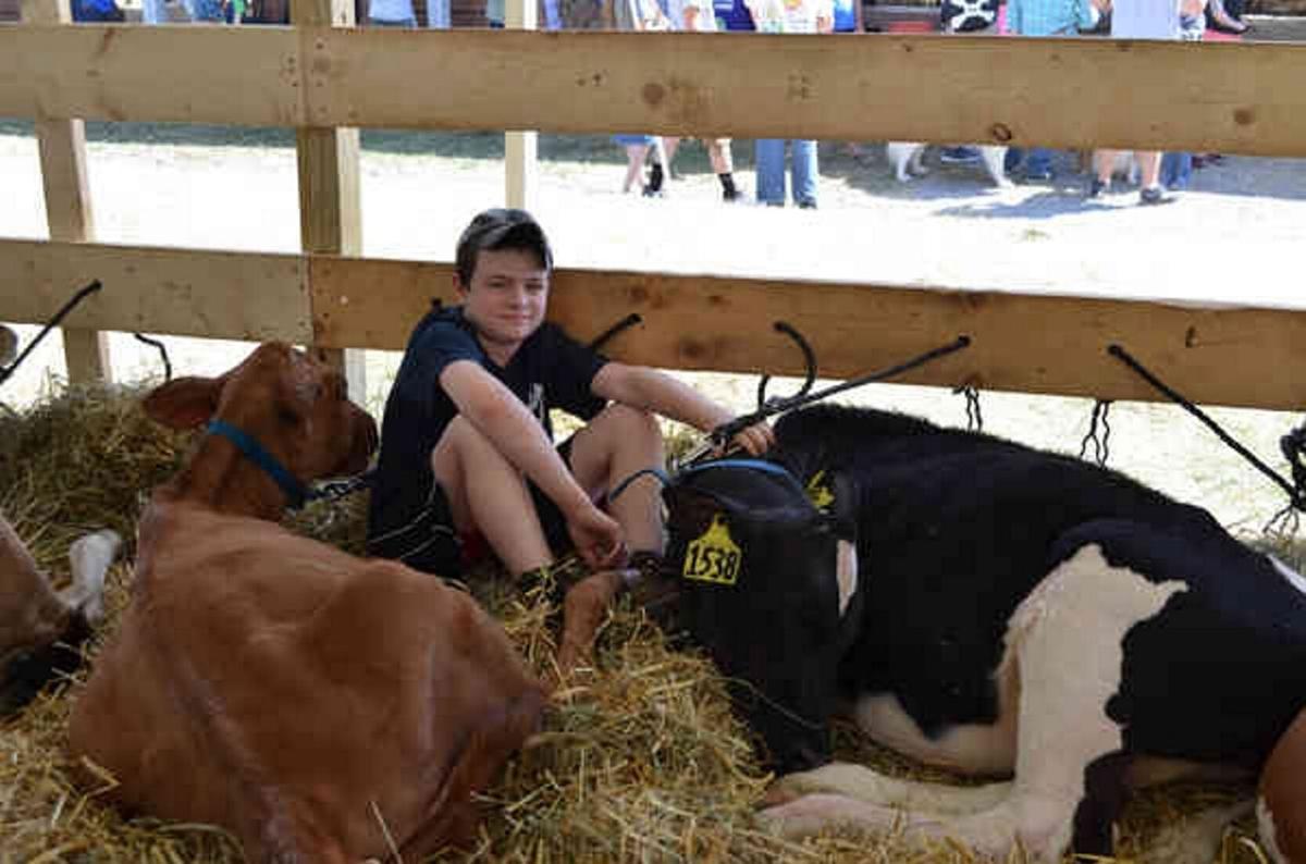 The 200th Lewis County Fair week begins Tuesday; pre-fair talent show ...