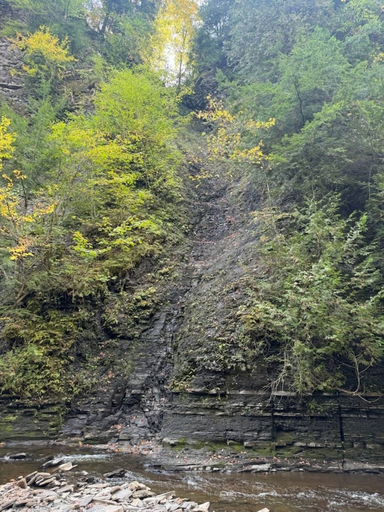 Adams Center hiker rescued by forest rangers after falling 200 feet ...