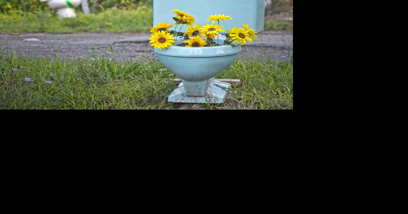 Potsdam, owner of ‘toilet gardens’ agree to narrow federal lawsuit | St ...