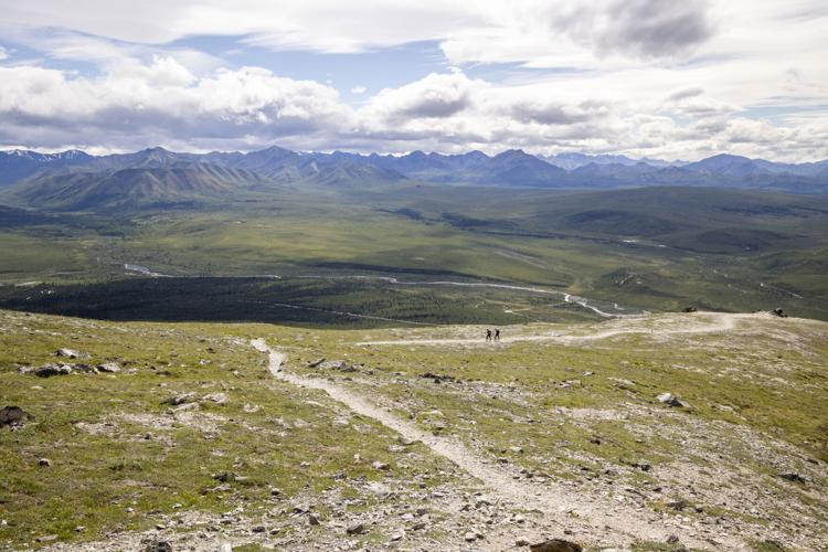Escape sweltering summer heat for last frontier: Alaska | Travel ...